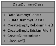 BDSIM: DataDummyClass Class Reference